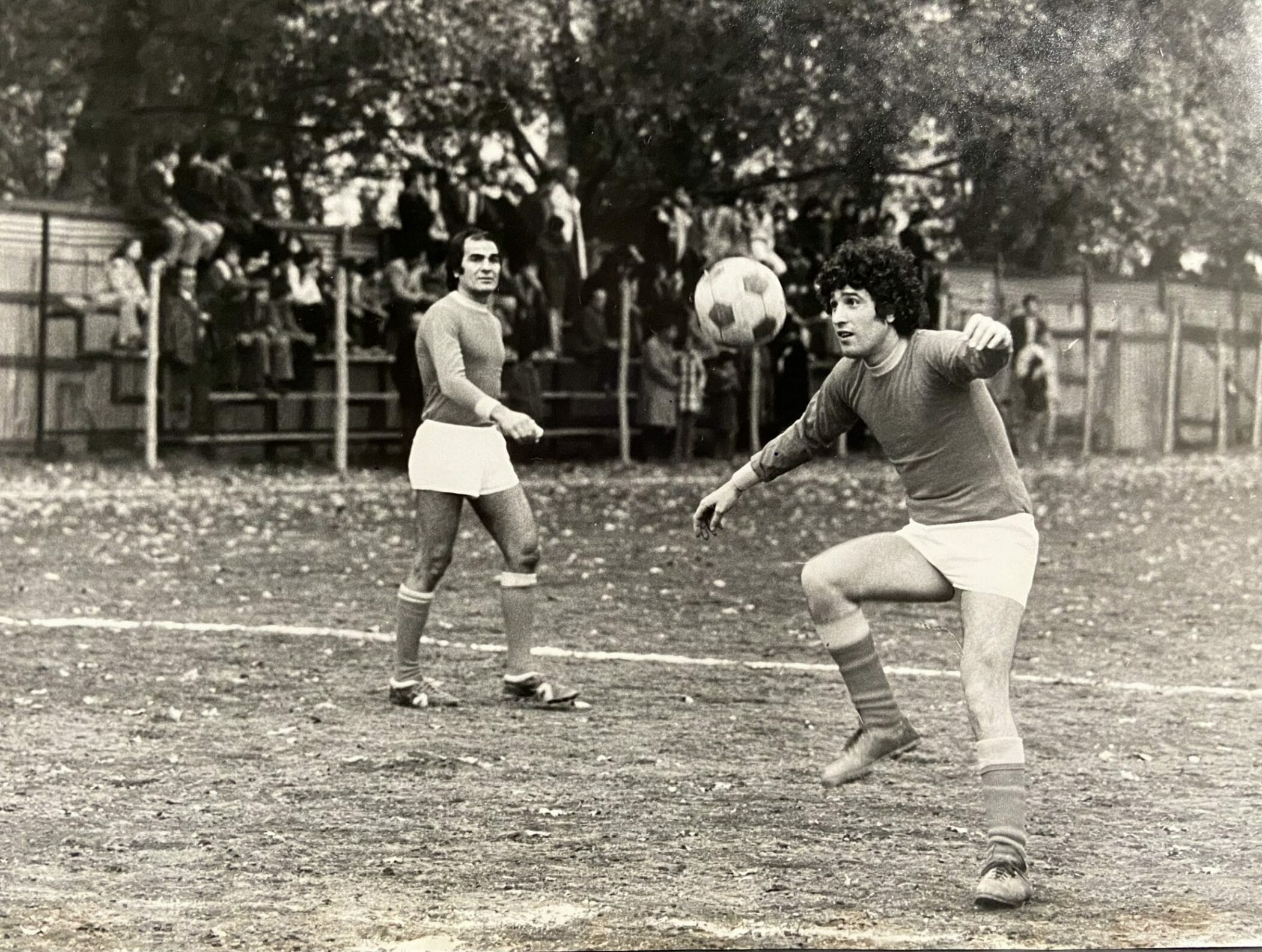 Ninetto Davoli - Oliva - Stampe Antiche Parma